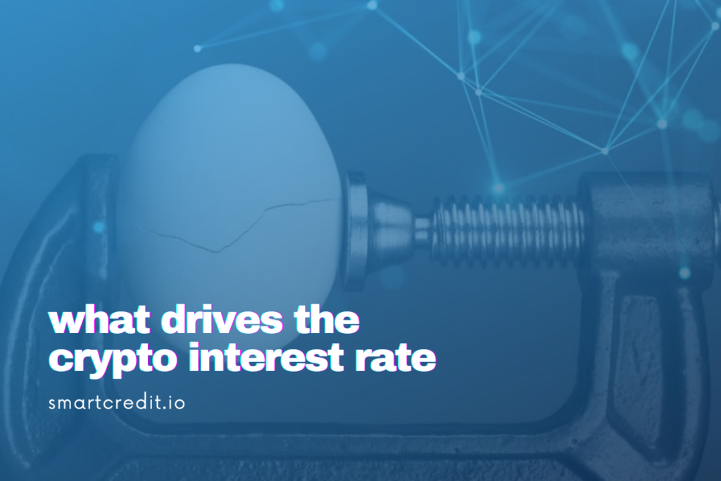 What drives the crypto interest rate and how much should it be ...